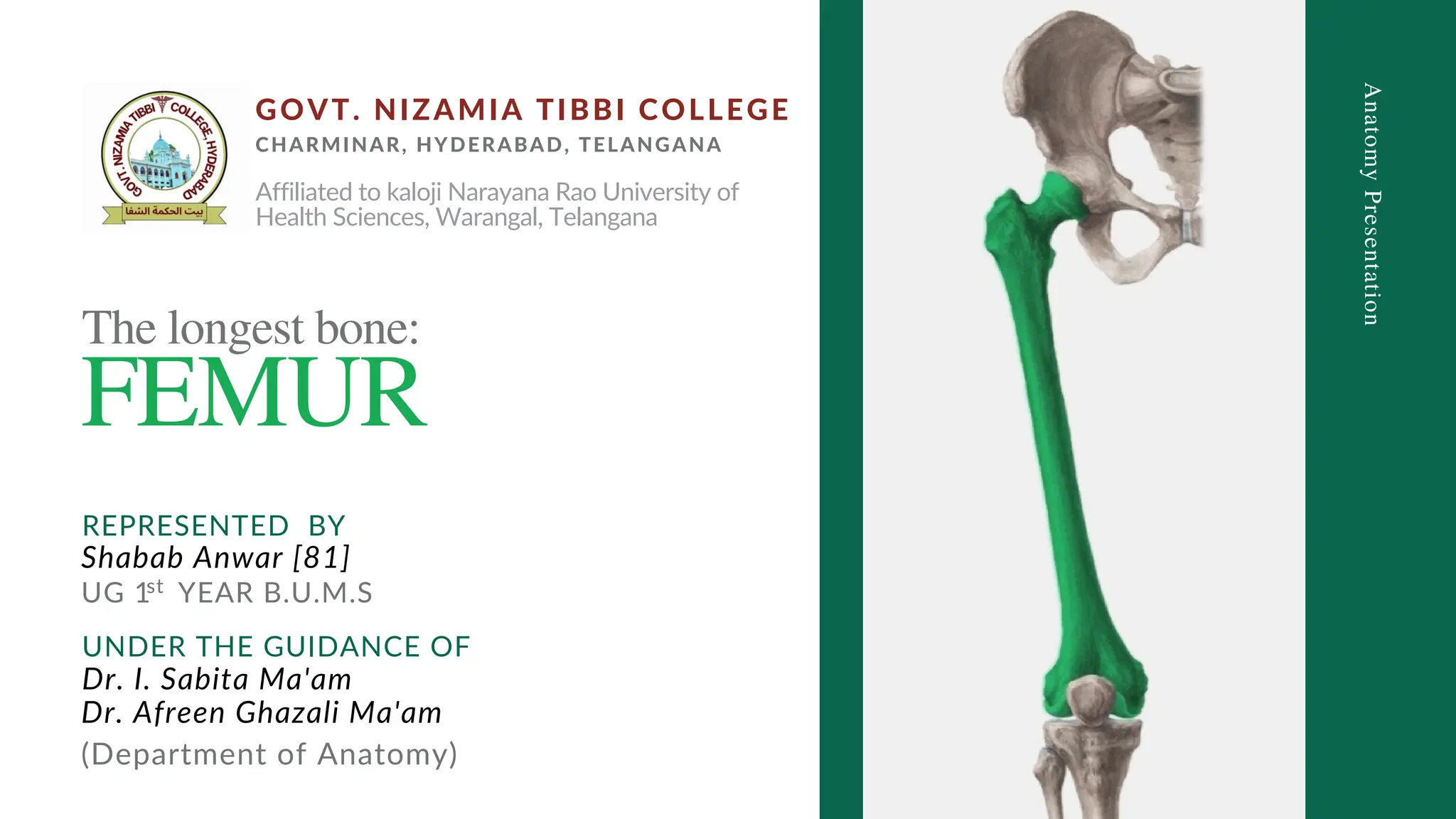 The Longest bone: FEMUR PPT. by SHABAB ANWAR | PDF