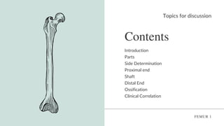 The Longest bone: FEMUR PPT. by SHABAB ANWAR | PDF