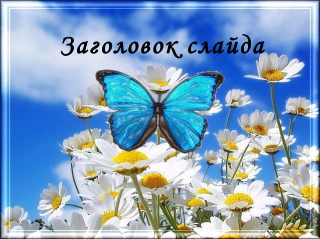 Shablon dlya prezentatsii3 | PPT