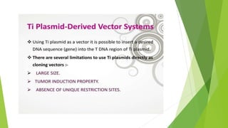 Ti plasmic gene manipulation by bacterial artificial chromosome | PPT
