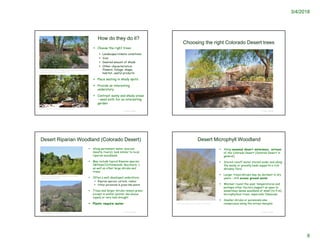 Shade 2018-notes | PDF