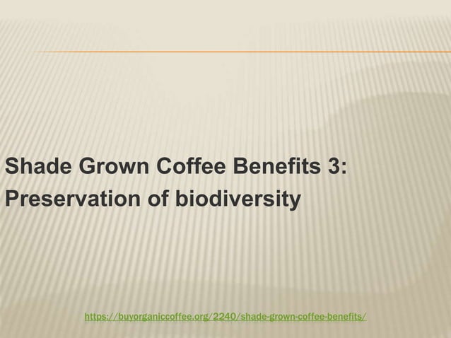 Shade Grown Coffee Benefits | PPT