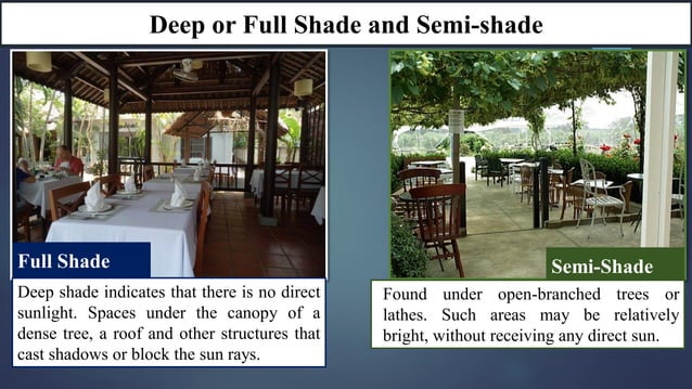 Shade and Shade Structures | PPT