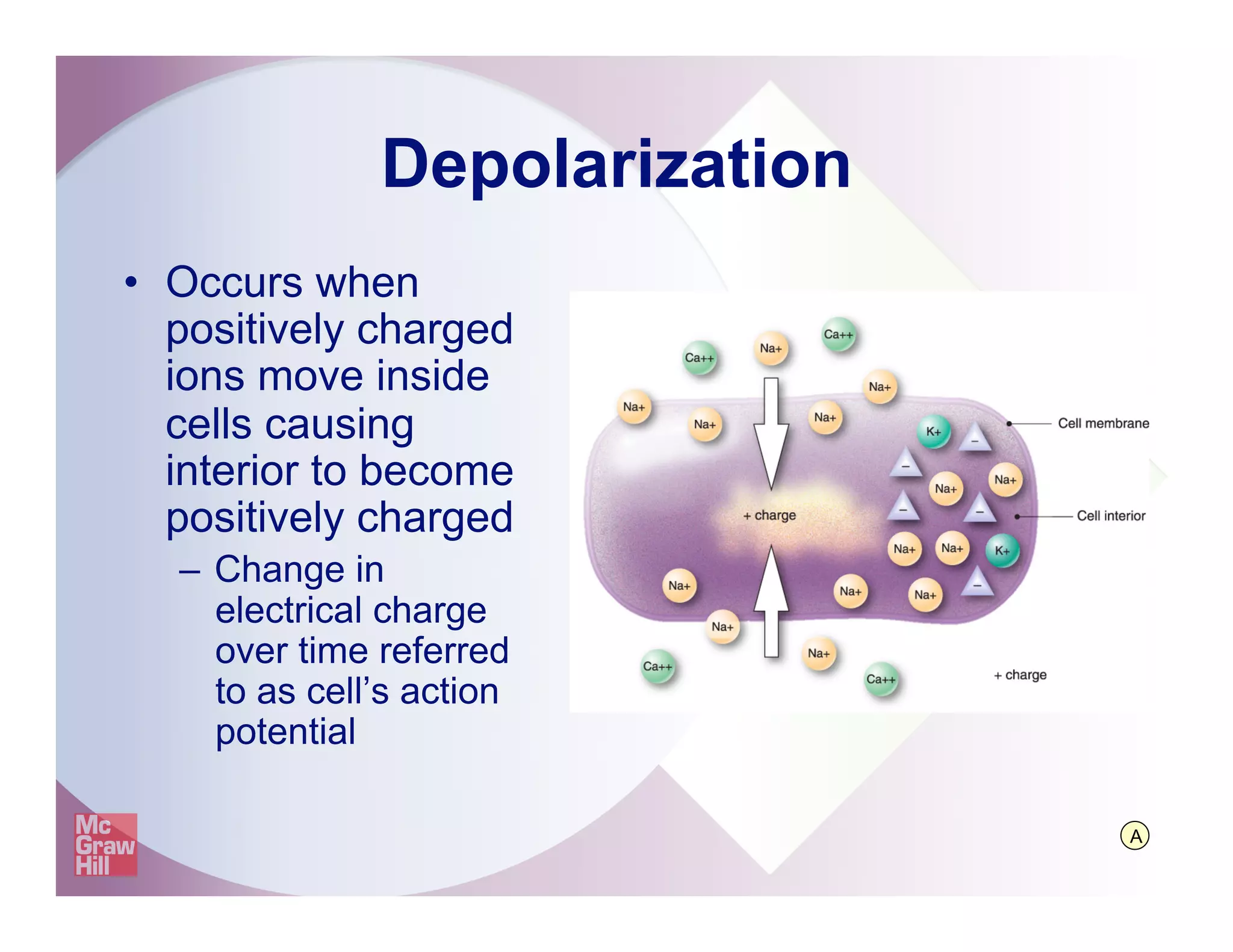 Shadechapter01.ppt [read only] | PDF