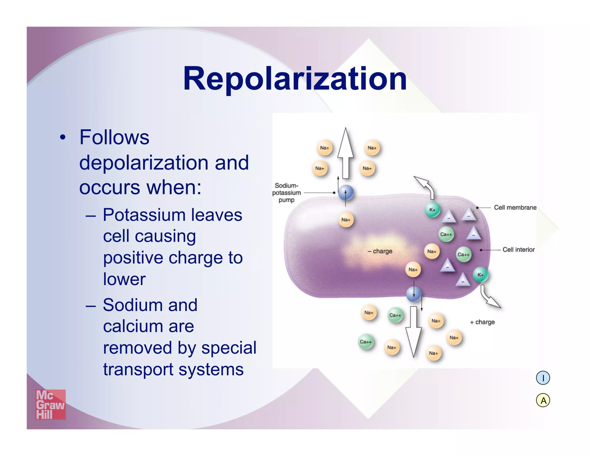 Shadechapter01.ppt [read only] | PDF