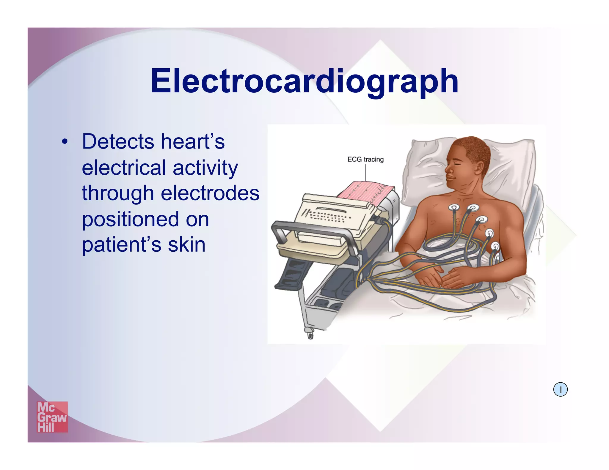 Shadechapter02.ppt [read only] | PPT