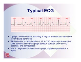 Shadechapter02.ppt [read only] | PPT