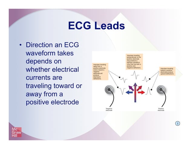 Shadechapter02.ppt [read only] | PPT