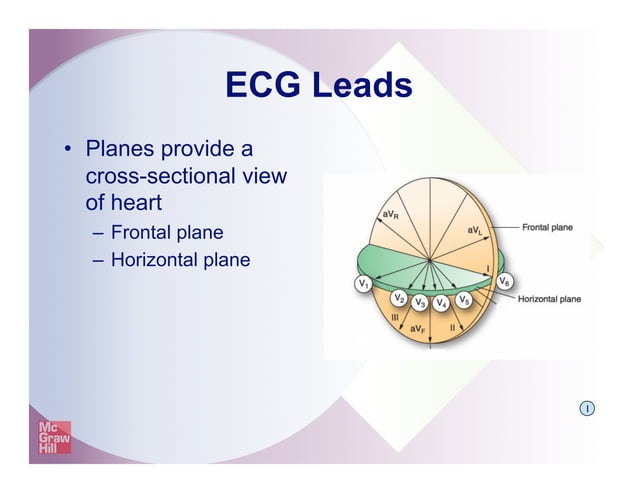 Shadechapter02.ppt [read only] | PPT