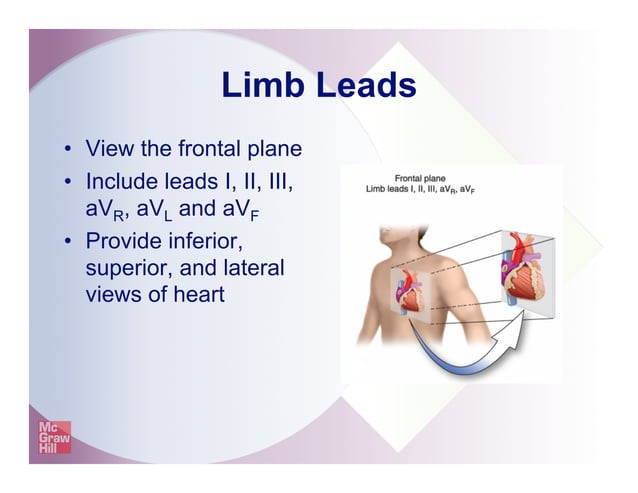 Shadechapter02.ppt [read only] | PPT