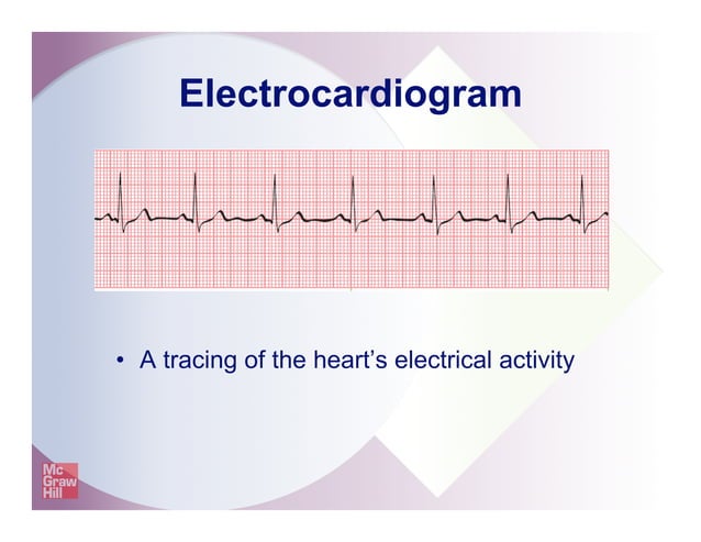 Shadechapter02.ppt [read only] | PPT