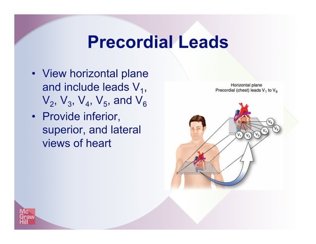 Shadechapter02.ppt [read only] | PPT