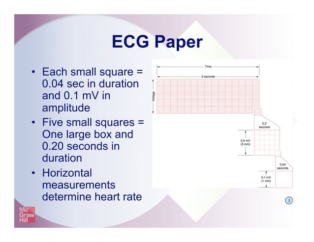 Shadechapter02.ppt [read only] | PPT