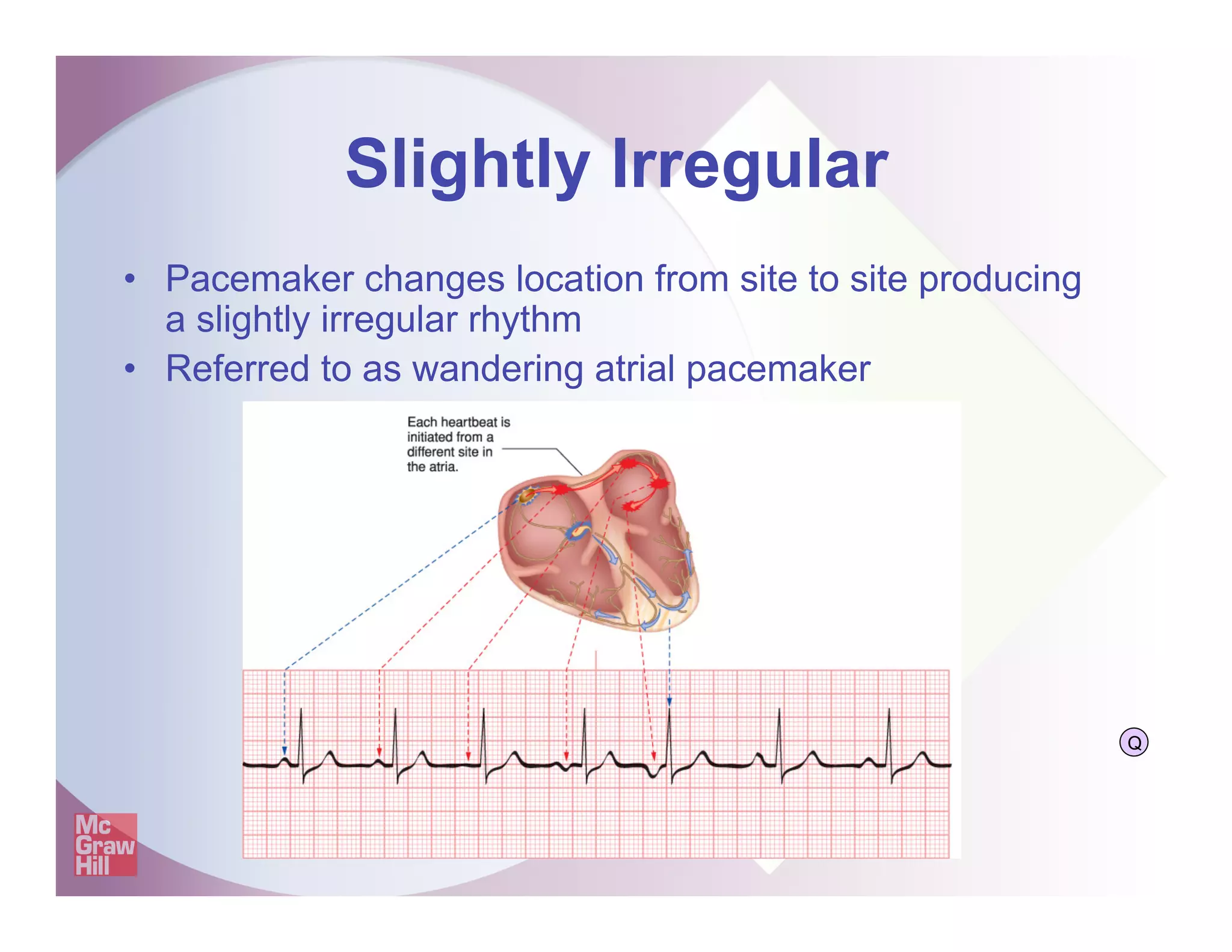 Shadechapter04.ppt [read only] | PDF