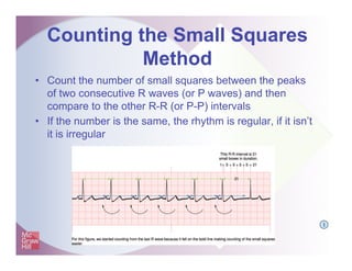 Shadechapter04.ppt [read only] | PDF