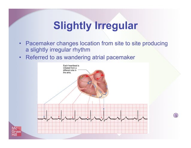 Shadechapter04.ppt [read only] | PPT