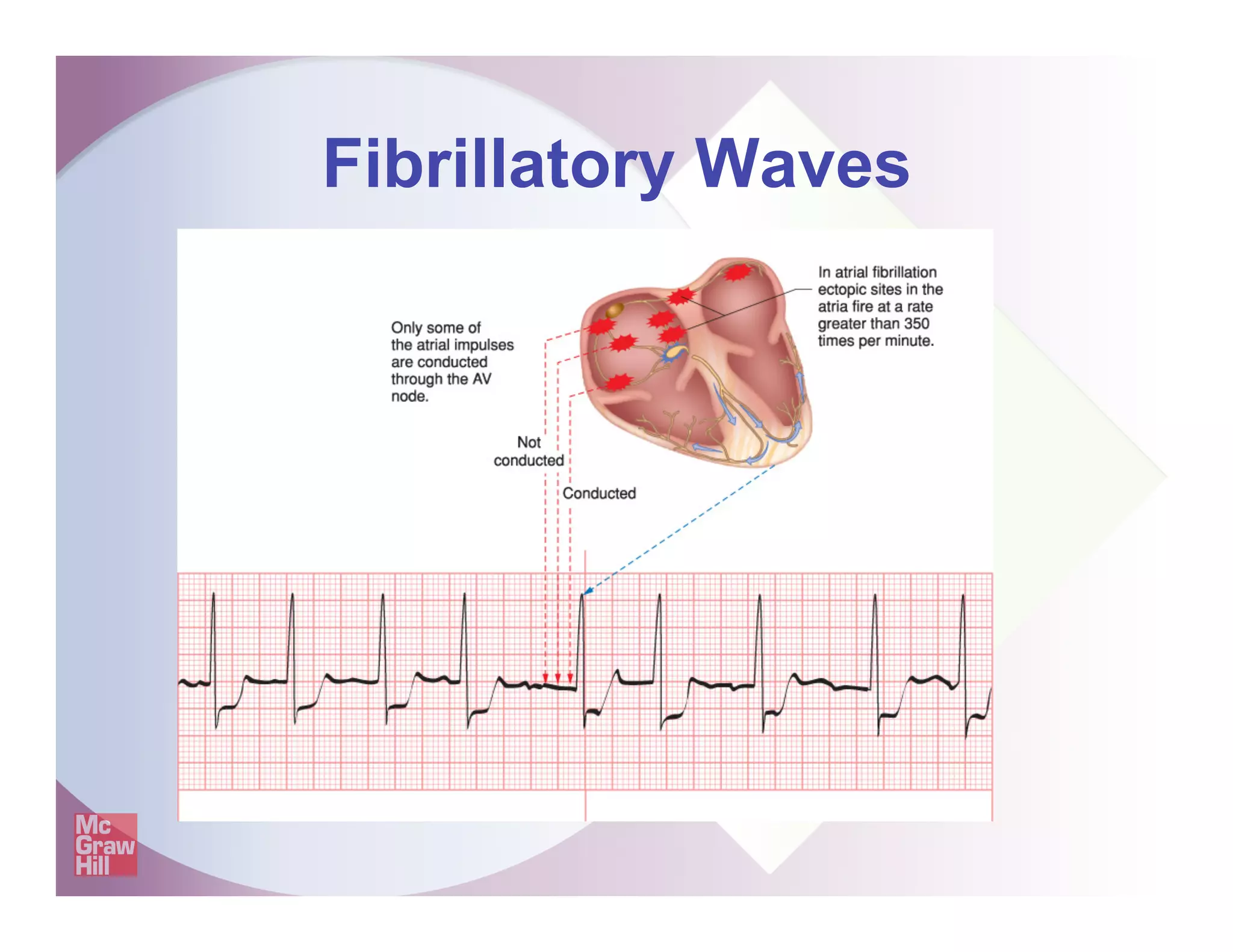 Shadechapter05.ppt [read only] | PDF