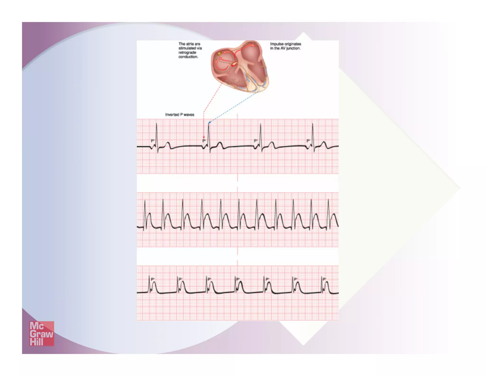 Shadechapter05.ppt [read only] | PDF