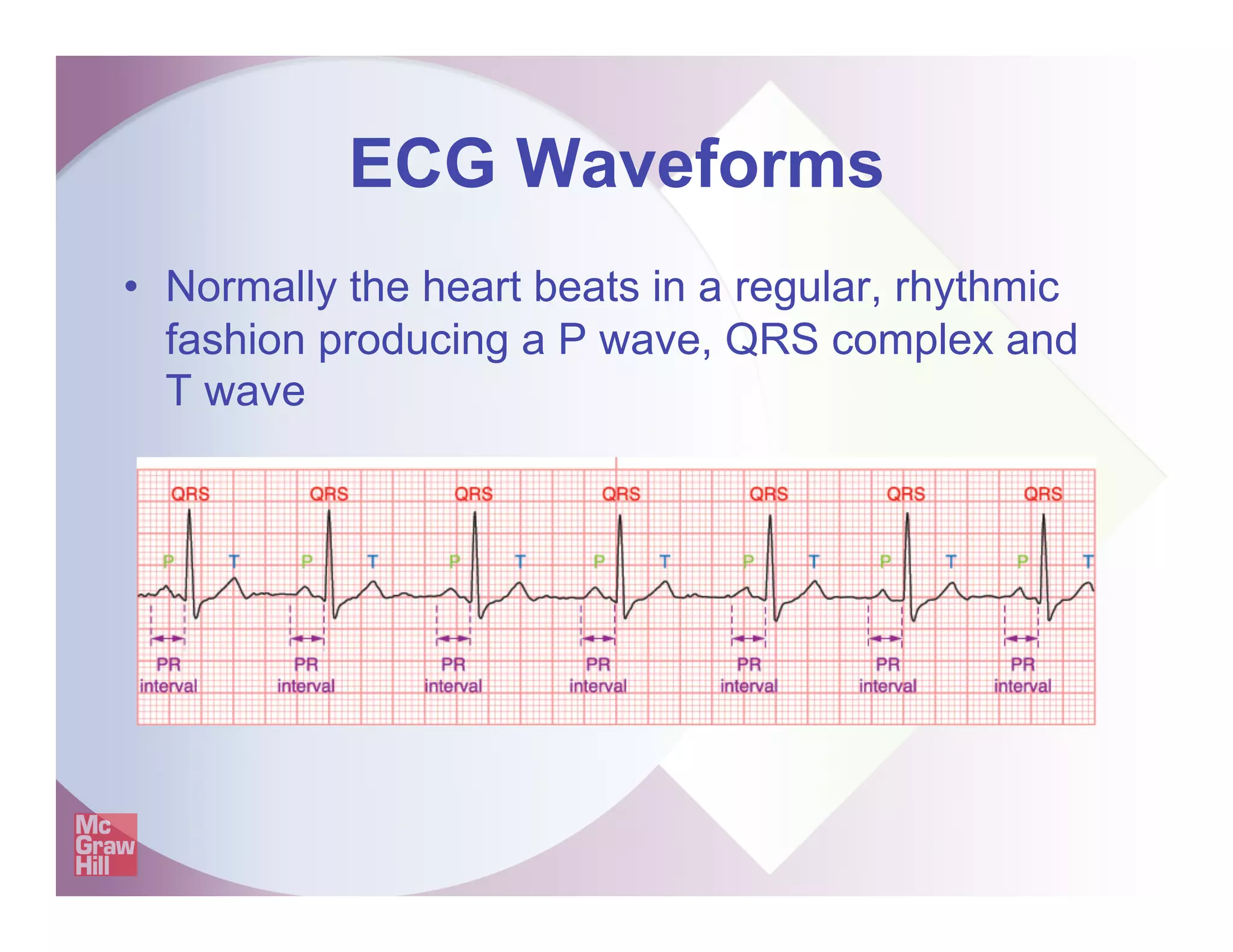 Shadechapter05.ppt [read only] | PDF