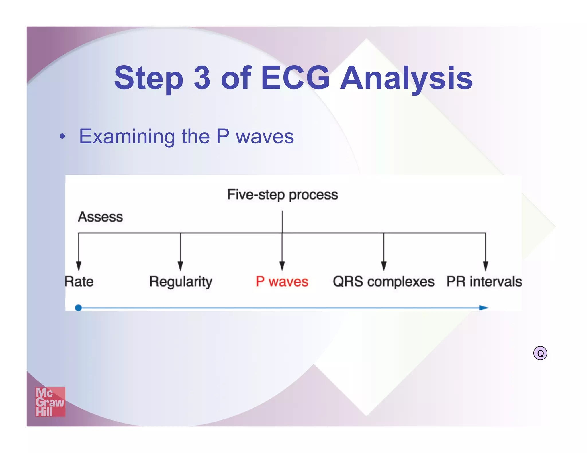 Shadechapter05.ppt [read only] | PDF