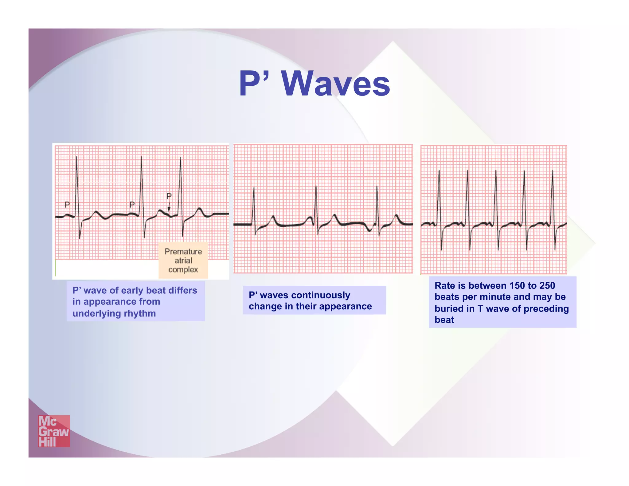 Shadechapter05.ppt [read only] | PDF