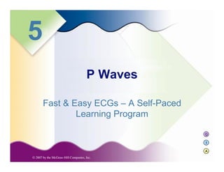 Shadechapter05.ppt [read only] | PPT