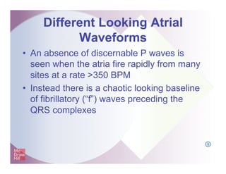 Shadechapter05.ppt [read only] | PPT