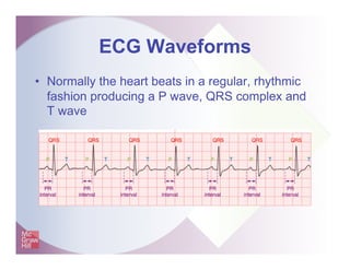 Shadechapter05.ppt [read only] | PPT