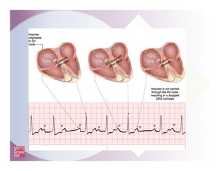Shadechapter05.ppt [read only] | PPT