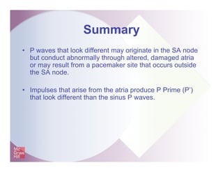 Shadechapter05.ppt [read only] | PPT