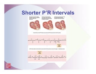 Shadechapter07.ppt [read only] | PPT