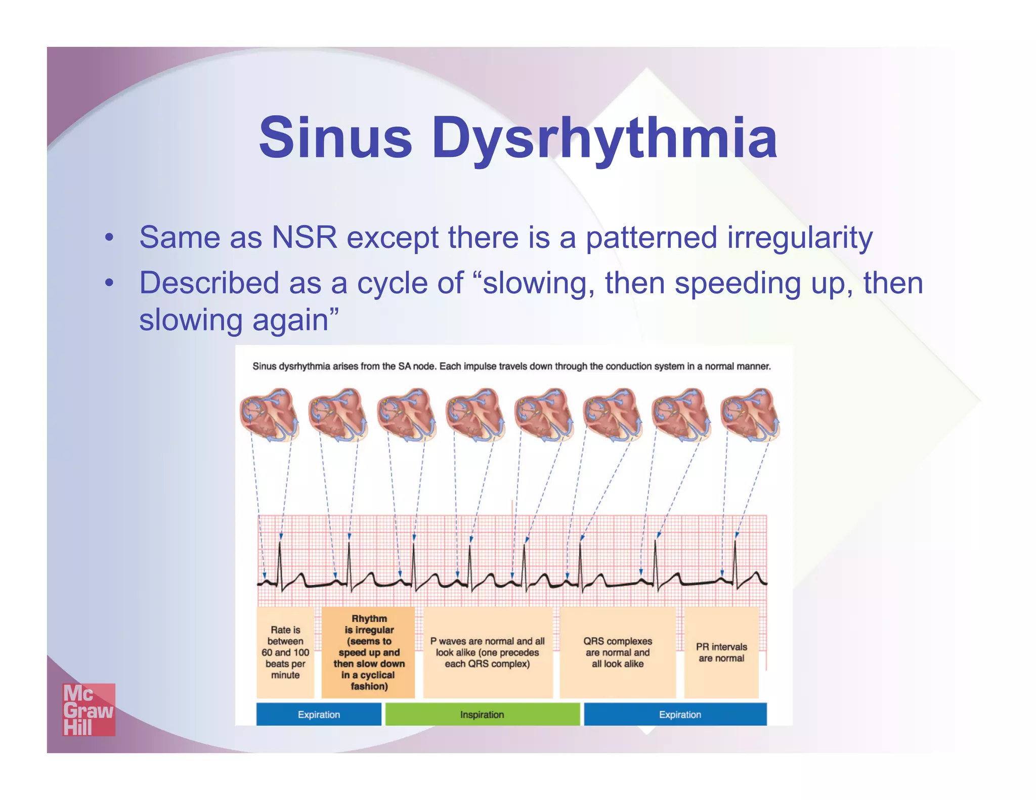 Shadechapter08.ppt [read only] | PDF