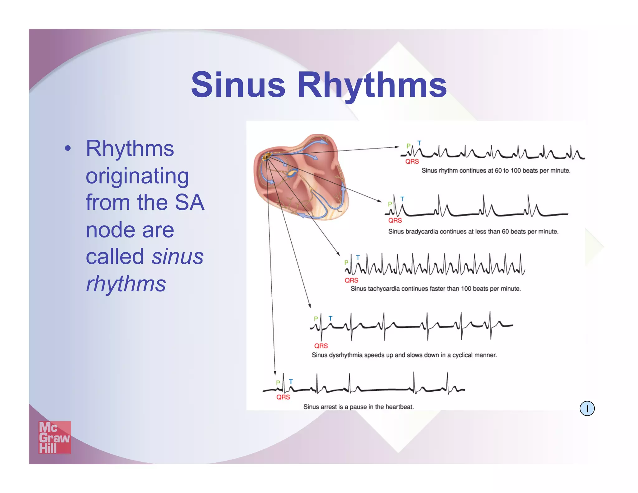 Shadechapter08.ppt [read only] | PDF