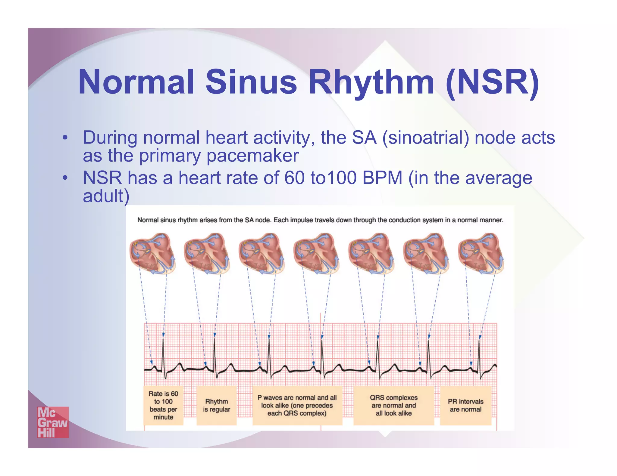 Shadechapter08.ppt [read only] | PDF