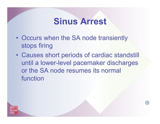 Shadechapter08.ppt [read only] | PPT | Free Download