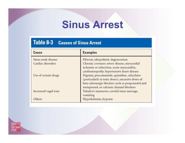 Shadechapter08.ppt [read only] | PPT | Free Download