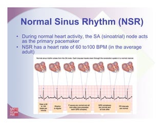 Shadechapter08.ppt [read only] | PPT