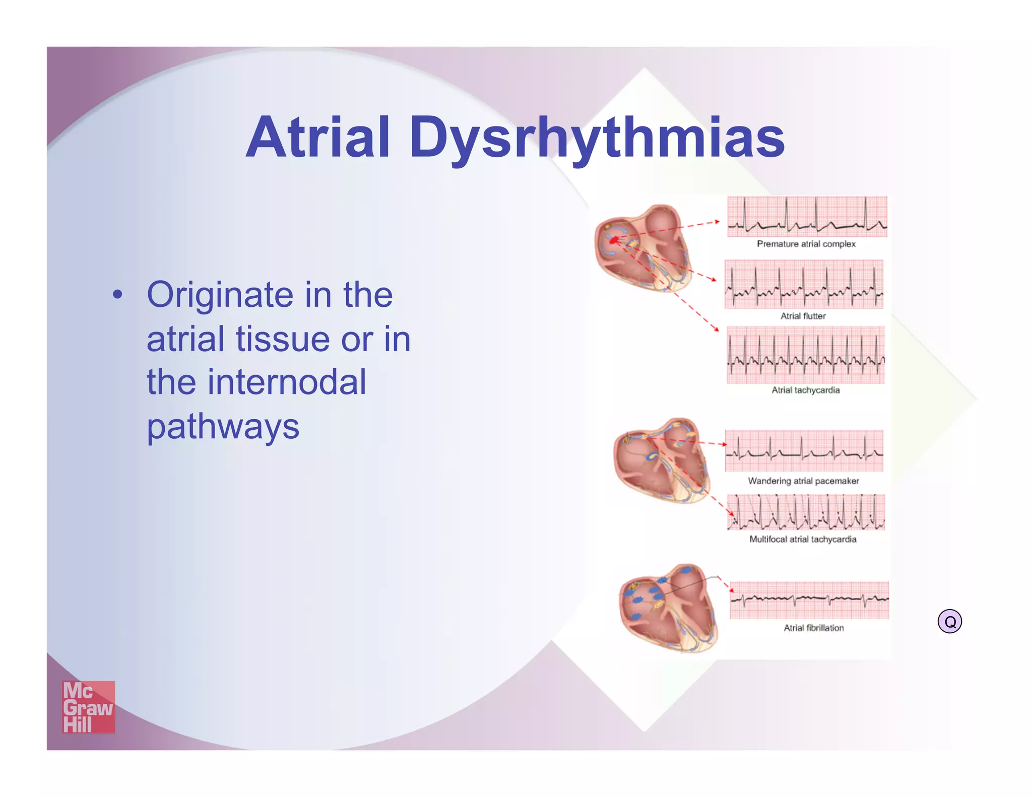 Shadechapter09.ppt [read only] | PDF