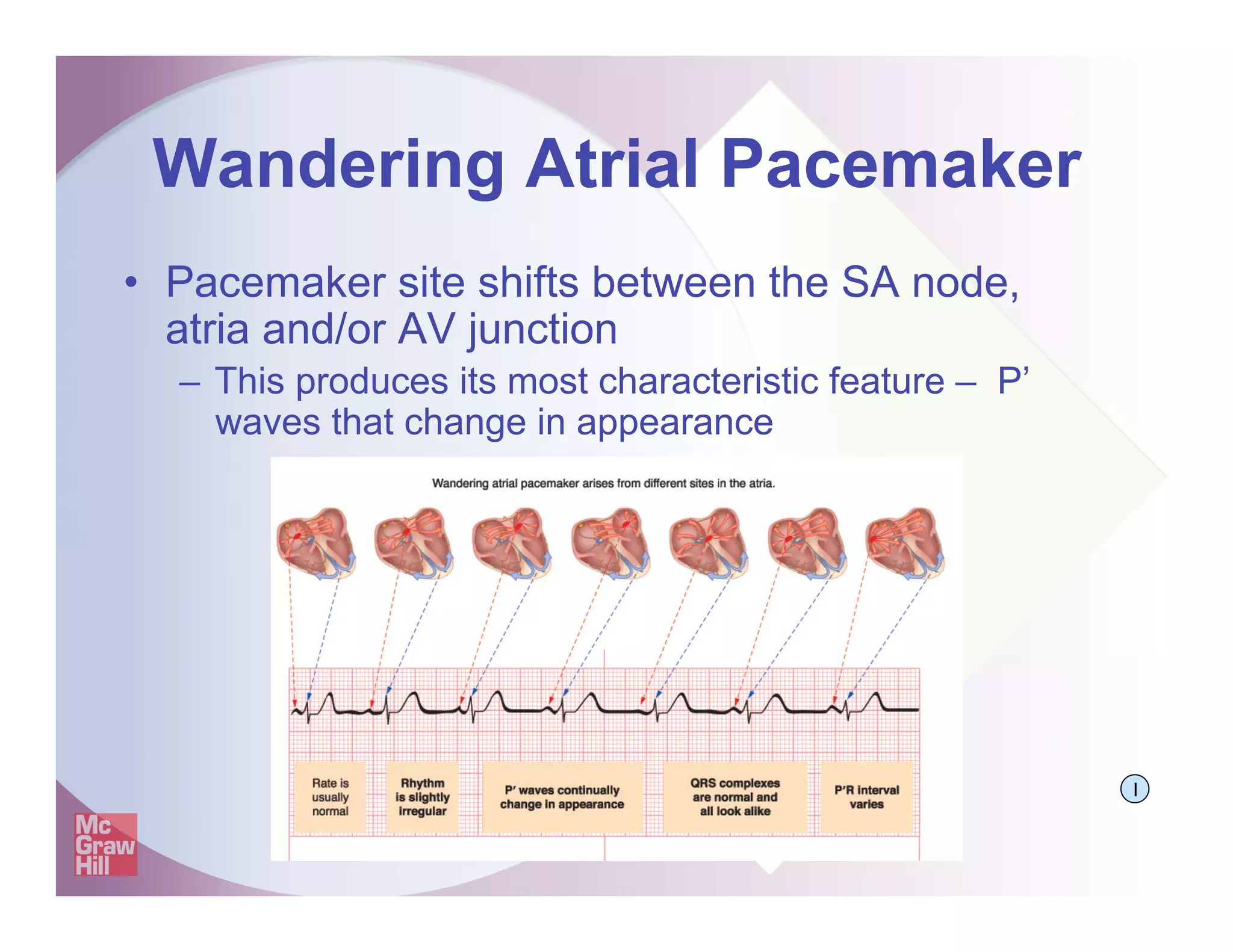 Shadechapter09.ppt [read only] | PDF
