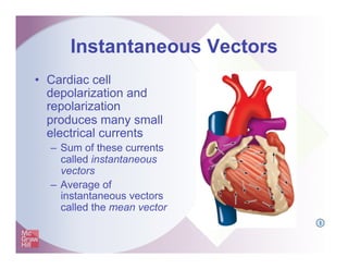 Shadechapter13.ppt [read only] | PDF
