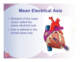 Shadechapter13.ppt [read only] | PDF