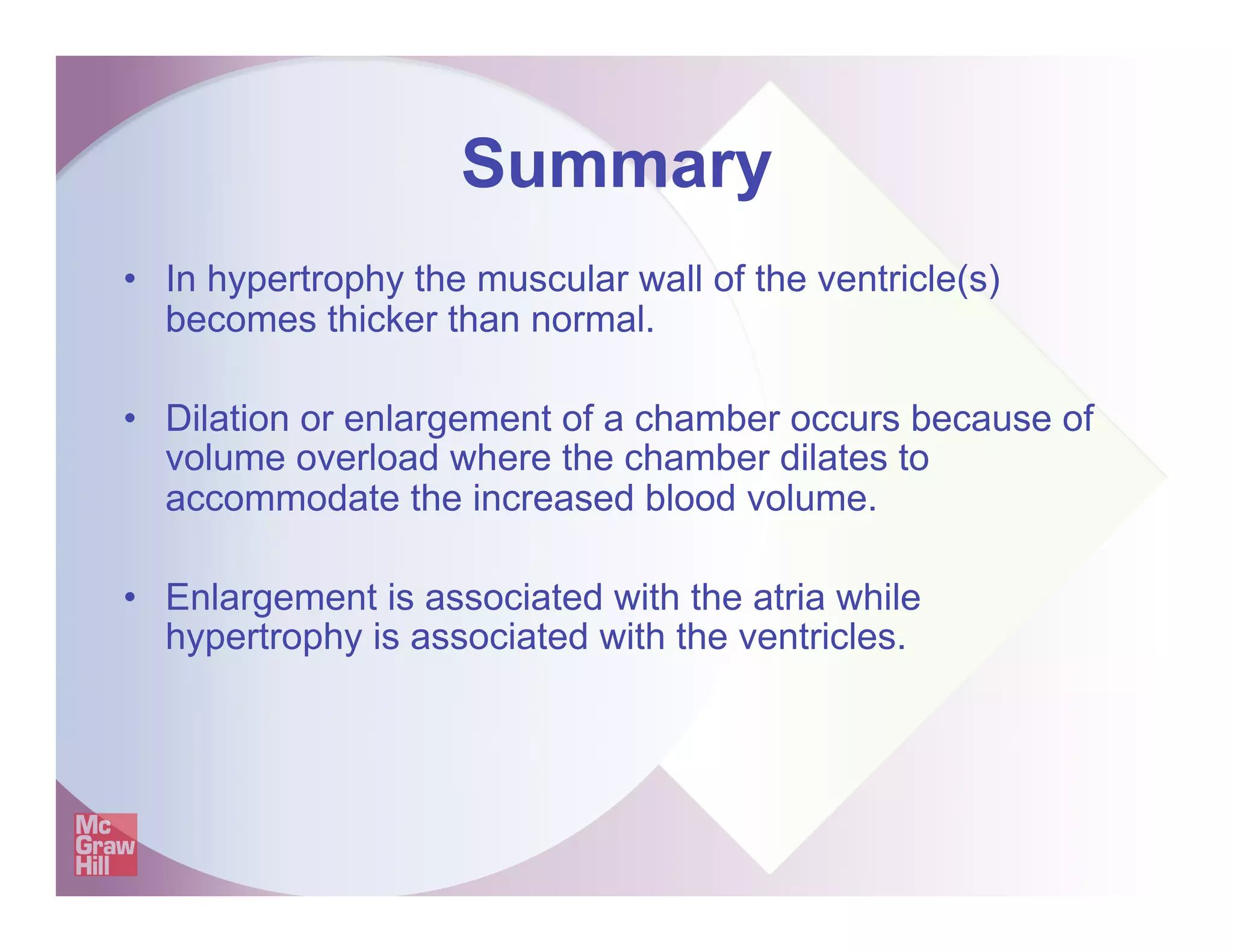 Shadechapter14.ppt [read only] | PDF