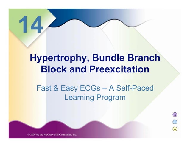 Shadechapter14.ppt [read only] | PPT