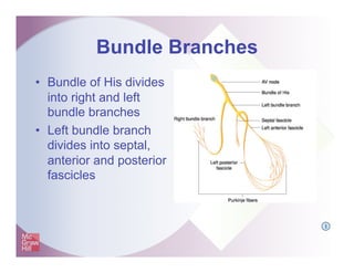 Shadechapter14.ppt [read only] | PDF