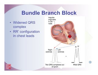 Shadechapter14.ppt [read only] | PDF