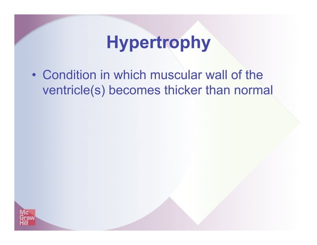 Shadechapter14.ppt [read only] | PPT