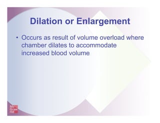 Shadechapter14.ppt [read only] | PDF