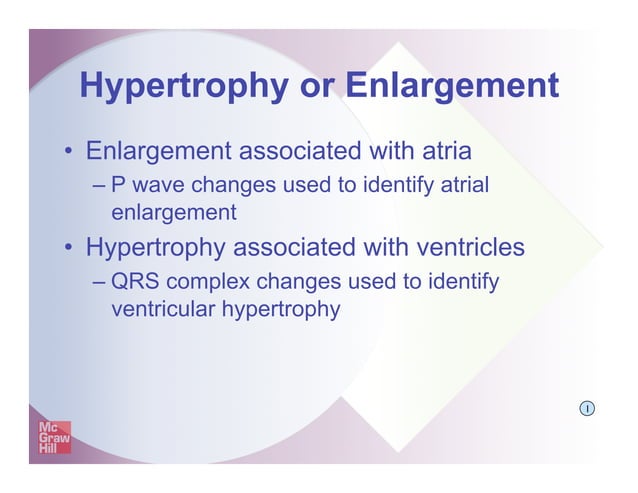Shadechapter14.ppt [read only] | PPT