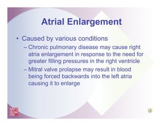 Shadechapter14.ppt [read only] | PDF