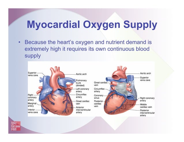 Shadechapter15.ppt [read only] | PDF